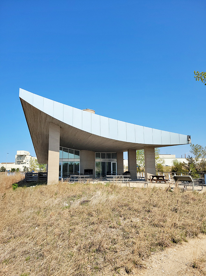 The pavilion's sweeping roof design looks like it could take flight, a modernist seagull perched between dunes and water.