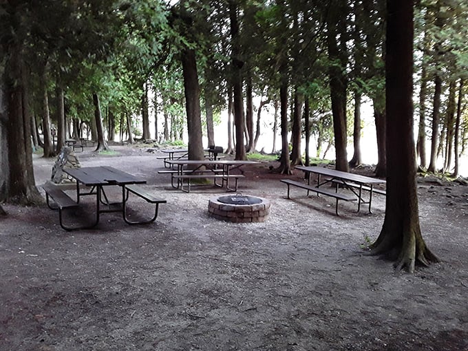 Campfire conversations waiting to happen. These shaded picnic grounds offer the perfect setting for making memories between adventures.