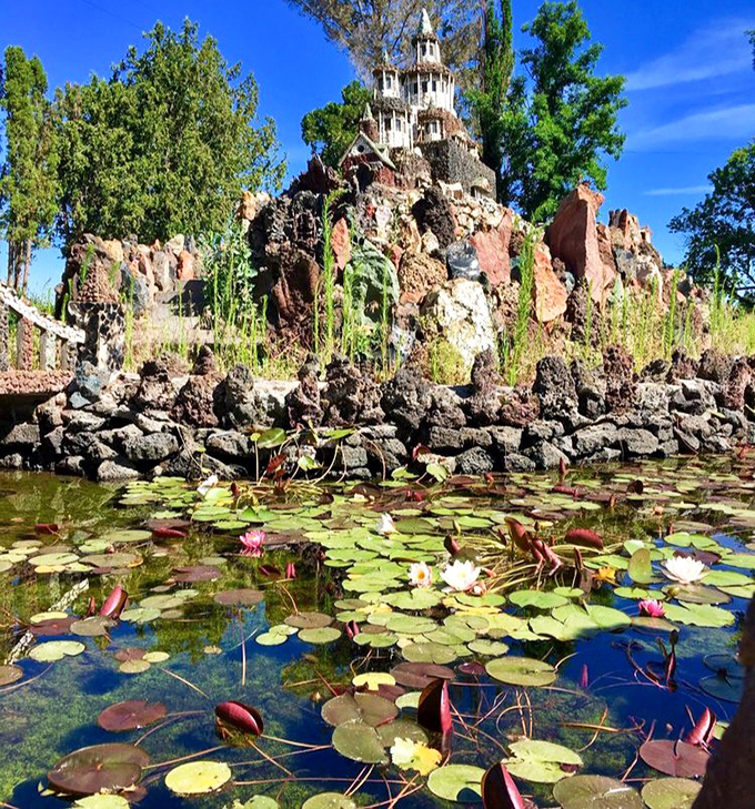Nature meets imagination where lily pads frame a fairytale castle, creating a scene straight out of a storybook that happens to be written in stone.