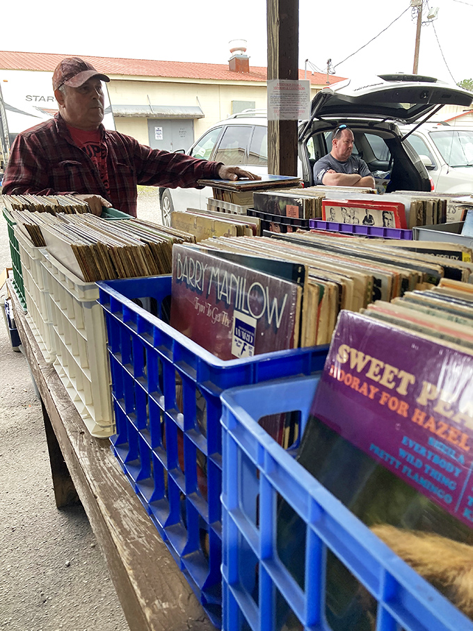 Vinyl paradise for music lovers! Every crate holds potential sonic treasures, from forgotten Barry Manilow gems to that elusive first pressing you've hunted for years.
