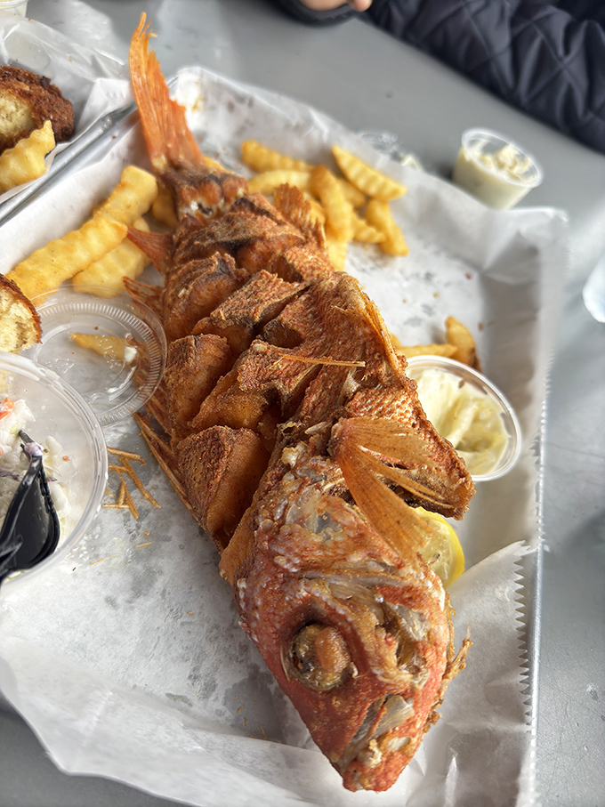 Meet the star of the show: a whole fried red snapper that looks like it's about to swim right off your plate and back into the Atlantic.