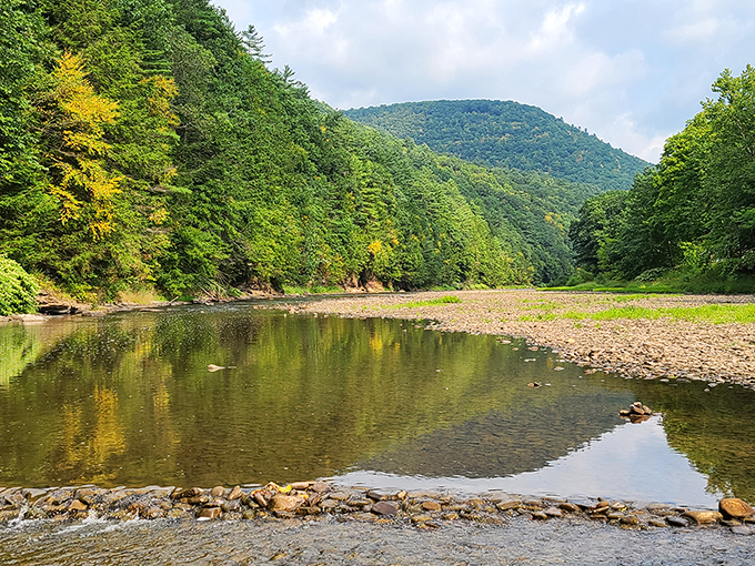 Pine Creek's gentle flow creates nature's mirror, reflecting forests that have been perfecting their appearance for centuries.