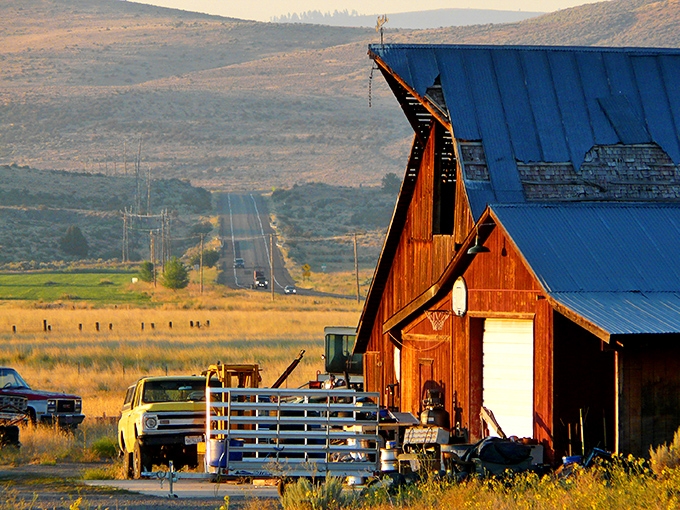 Rural California at its most honest. This weathered barn against rolling hills tells a story of agricultural heritage that predates avocado toast and almond milk lattes.