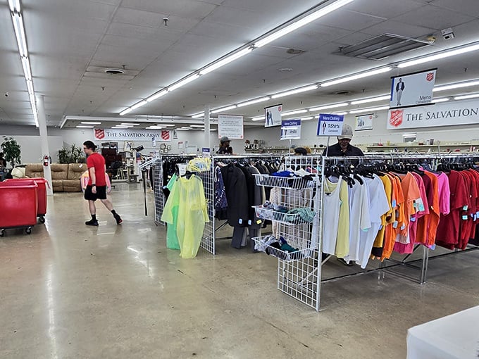 The colorful landscape of organized chaos where shoppers navigate aisles like urban explorers. The thrift store safari is always in season.