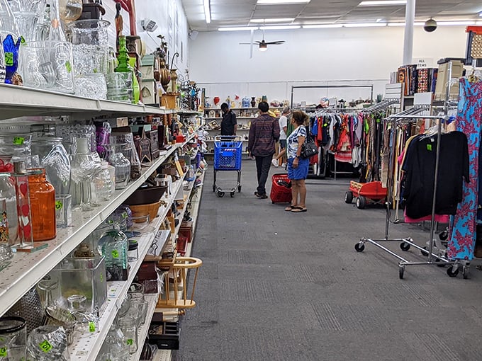 The glassware aisle: where your grandmother's forgotten wedding gifts find new purpose in homes that appreciate vintage charm without the family obligation.