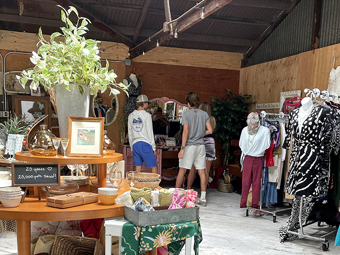 Shoppers browse thoughtfully arranged displays where yesterday's castoffs become tomorrow's conversation pieces. The thrill of the hunt is palpable.