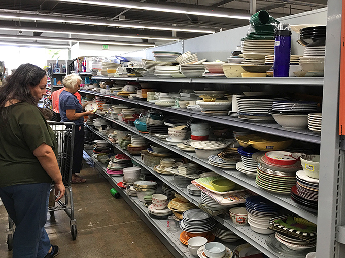 The dishware aisle: where complete strangers silently judge each other's china patterns. More plates than an earthquake could shatter, organized with surprising precision.