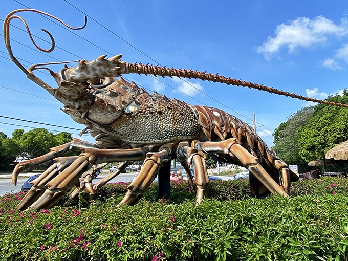 Betsy's side profile reveals her impressive proportions. If she were real, she'd be serving lobster rolls for the entire state of Florida.