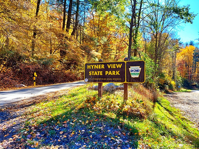 Fall's golden welcome sign might as well read "Prepare to pick your jaw up off the floor." The drive through these woods is the appetizer to nature's main course.
