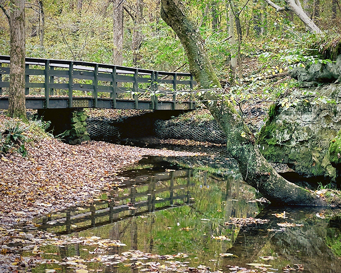 Autumn's golden hour transforms this simple footbridge into something magical. Even the water seems to pause here, reflecting the beauty above.