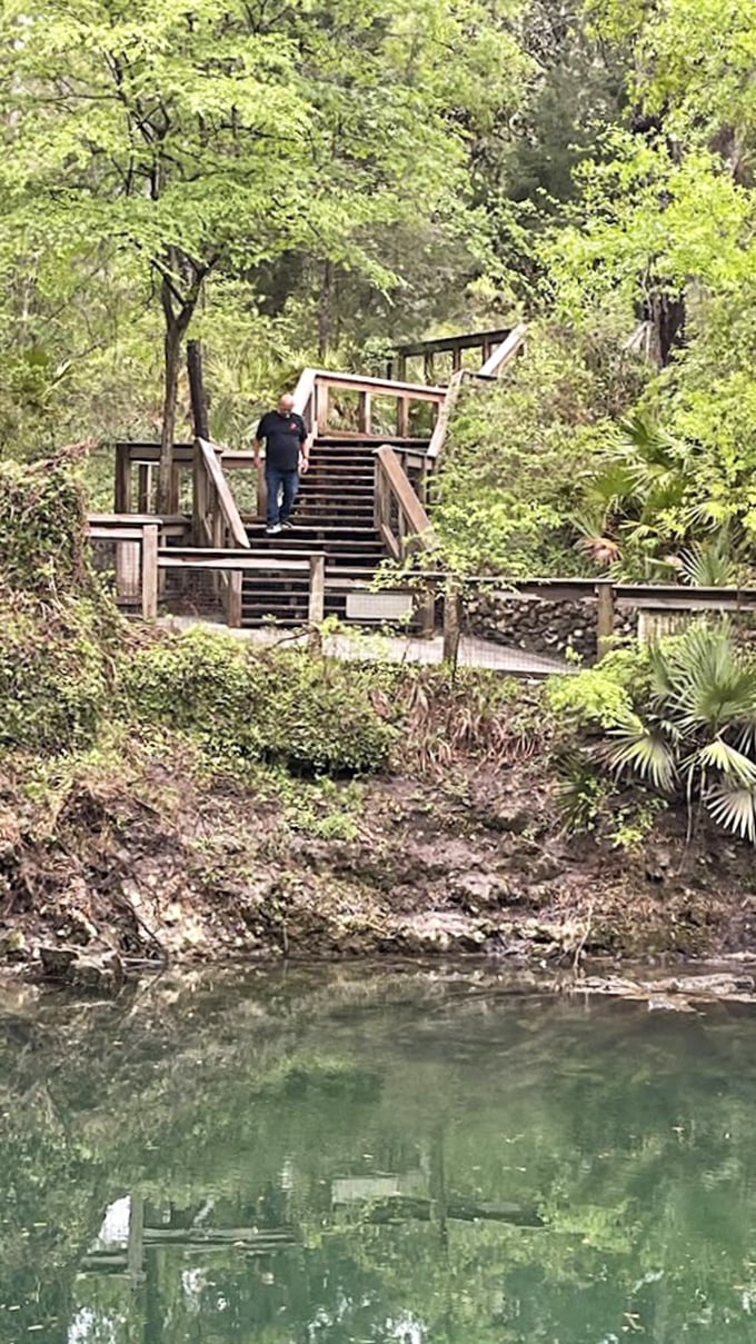 Rustic wooden walkways guide visitors through the park, offering glimpses of the spring's otherworldly blue from every angle.