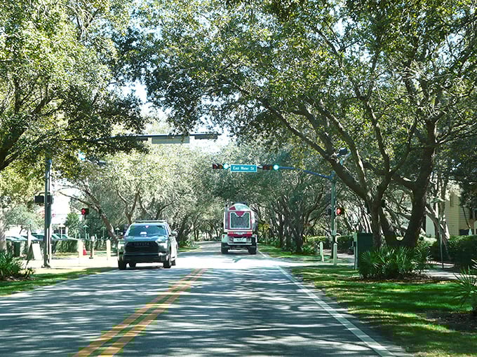 Tree-lined streets create natural canopies over Rosemary Beach's roadways, offering dappled shade that feels like nature's own air conditioning on hot Florida afternoons.
