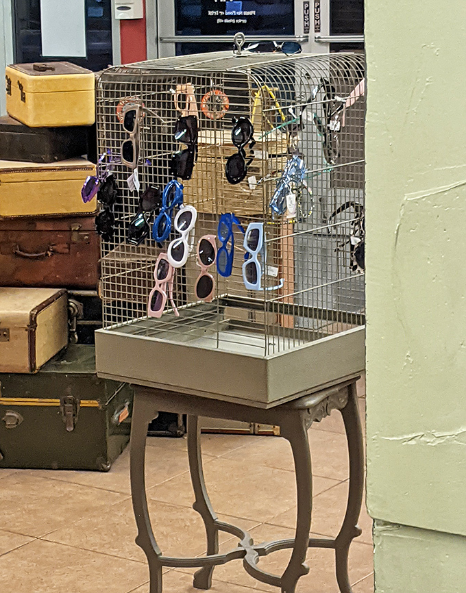 Not just a birdcage&mdash;it's a sunglasses sanctuary where vintage cat-eyes and modern shades perch, waiting for their second act.