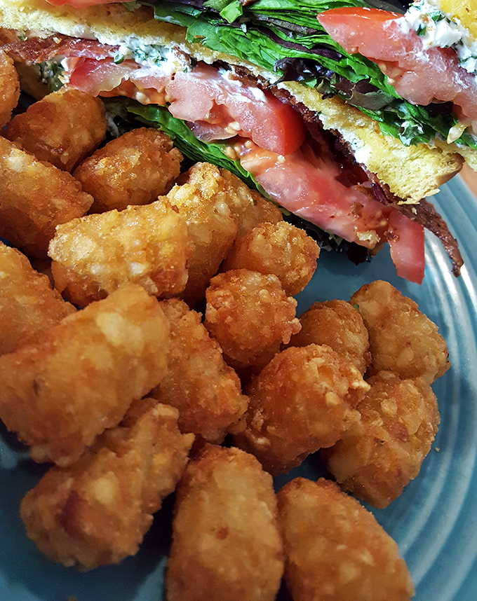 Golden tater tots with that perfect crunch-to-fluff ratio, paired with a sandwich that's clearly not interested in playing it safe.