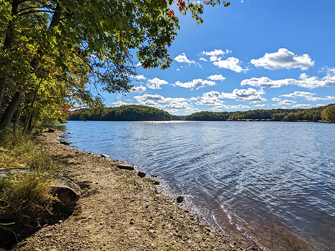 Fall Creek Falls Lake offers shoreline serenity where time slows down and the only notification you'll receive is the occasional splash of a jumping fish.