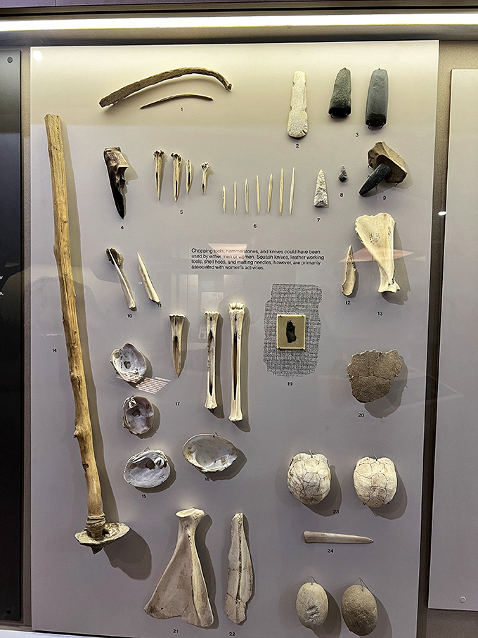 Tools of ancient innovation&mdash;bone, stone, and wood transformed into survival essentials. The original DIY movement, centuries before YouTube tutorials existed.