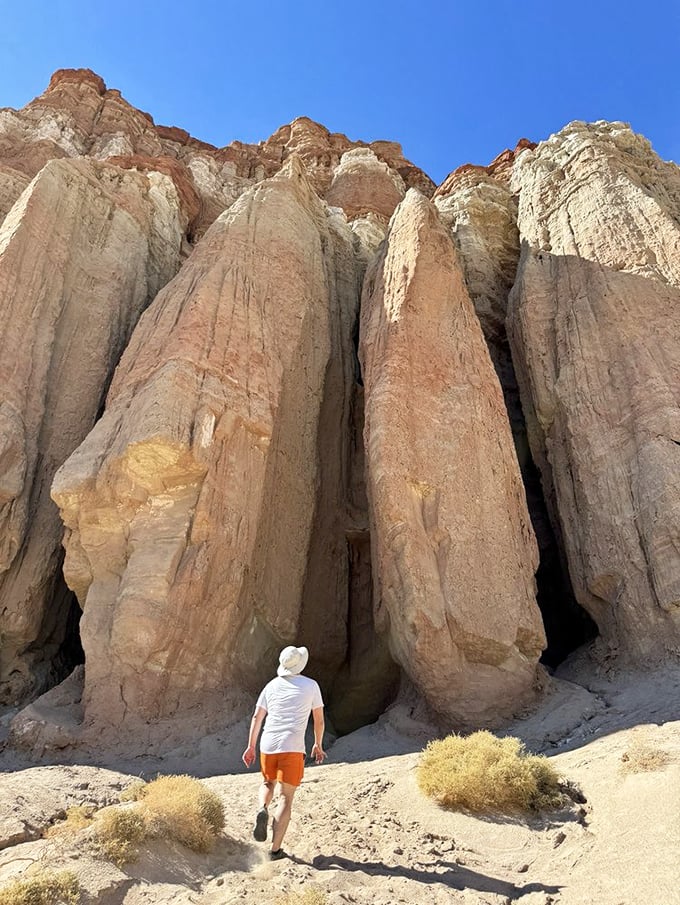Dwarfed by desert monuments! These towering columns make even the tallest visitor feel like they've stumbled into a land of giants.