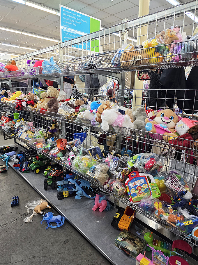 A wonderland of abandoned toys waiting for their second act in someone's playroom.