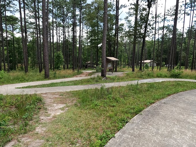 Paths that lead to everywhere and nowhere simultaneously &ndash; the Florida Panhandle's version of a choose-your-own-adventure book.