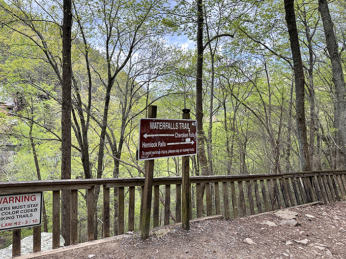 Trail markers here don't just point directions&mdash;they promise adventures that'll make your Instagram followers seriously jealous.