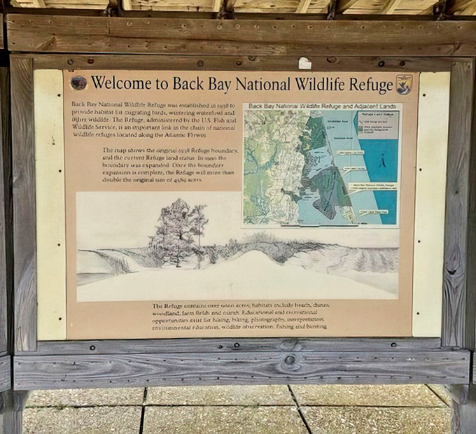 Knowledge: the only souvenir that doesn't require extra luggage space. This information board offers secrets of Back Bay's wild residents.