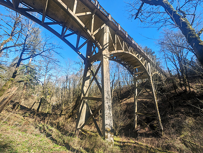 Engineering meets wilderness at this historic bridge. Somewhere, a structural engineer is still patting themselves on the back for this masterpiece.