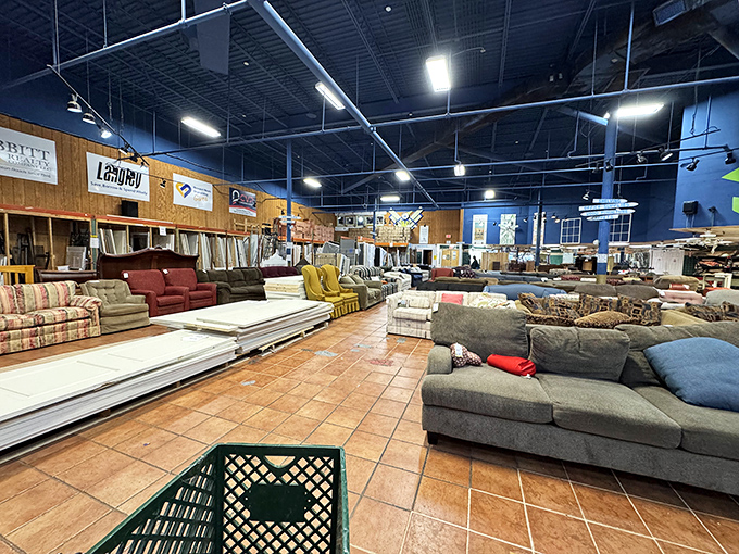 Sofa safari at its finest! From well-loved loungers to surprisingly pristine pieces, your perfect perch awaits somewhere in this comfortable jungle.