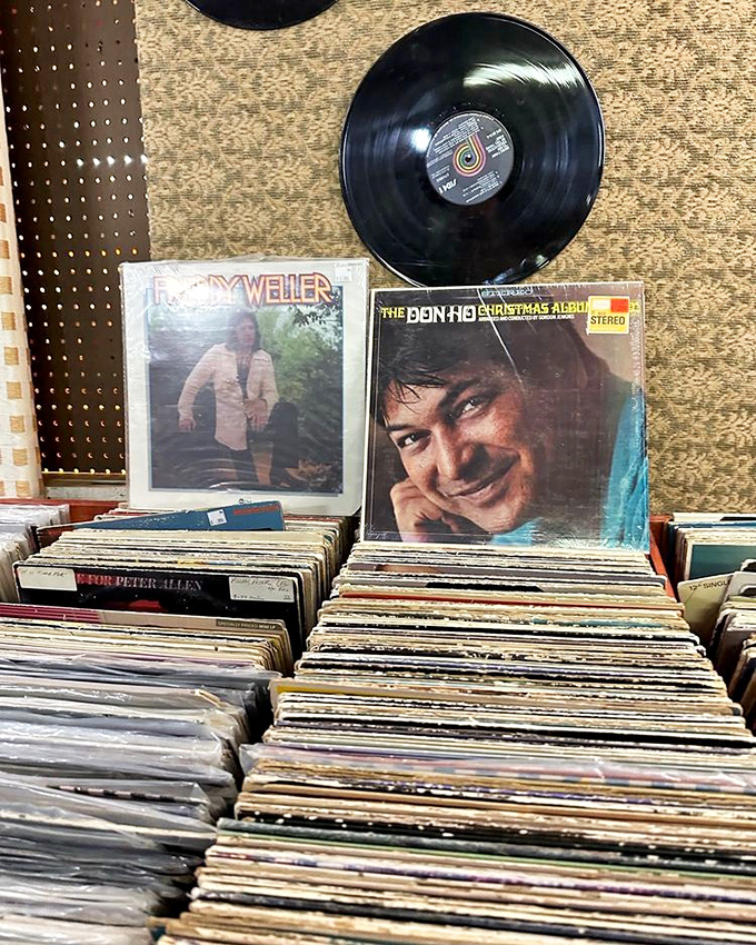 Vinyl heaven isn't a myth&mdash;it's right here in Riverside. These records aren't just music; they're time capsules of emotions waiting to spin again.