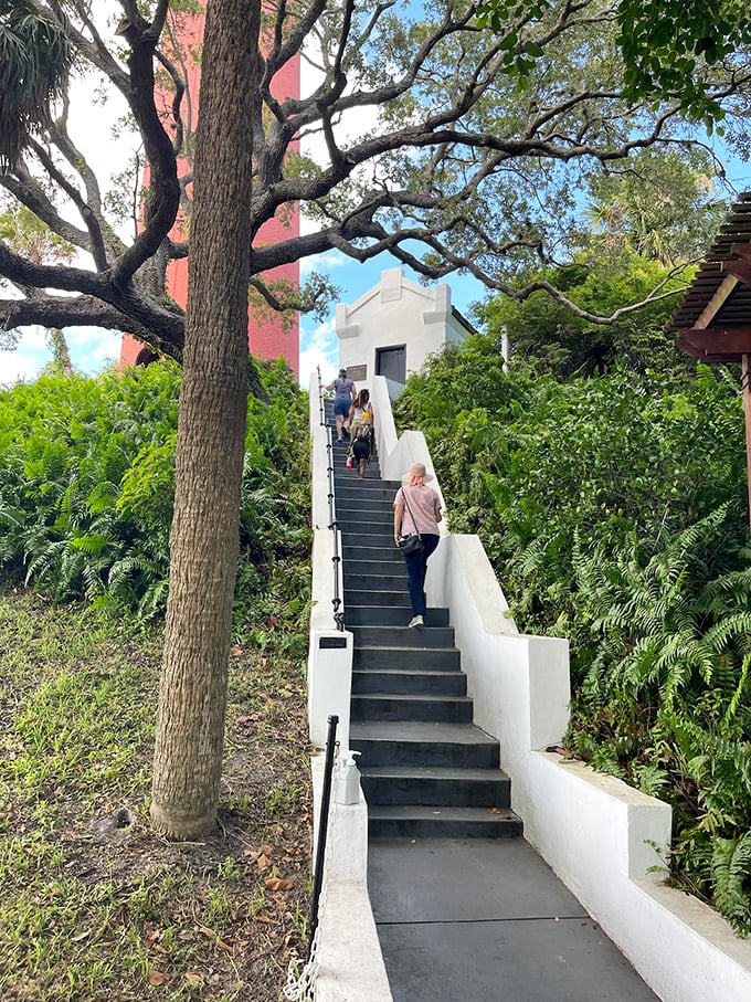 The white stairway to heaven&mdash;or at least to one of Florida's most spectacular views. Your quads might complain, but your eyes will thank you.