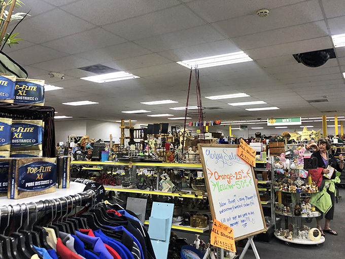 The housewares section &ndash; where one person's "I don't need this anymore" becomes another's "I've been looking everywhere for this!"