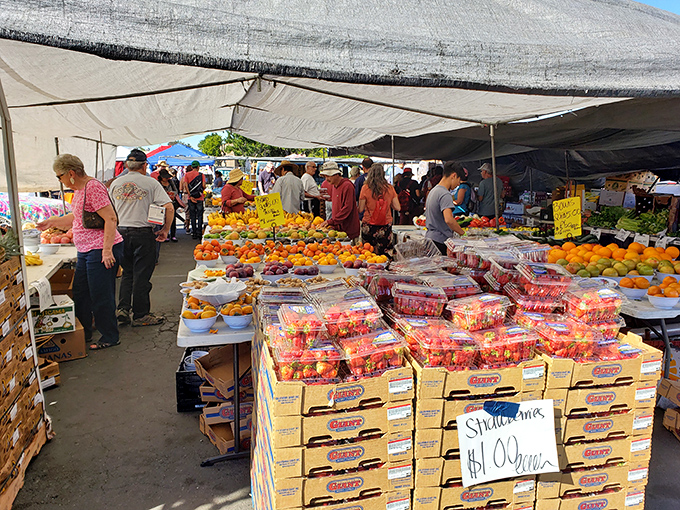A cornucopia of fresh produce that would make any farmers market jealous. Strawberries so red they practically scream "take me home!"