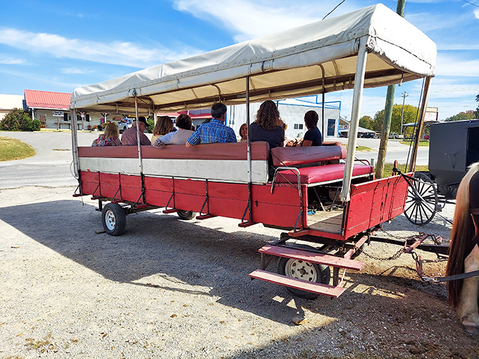 All aboard the happiness express - where the journey matters more than the destination's Wi-Fi signal.