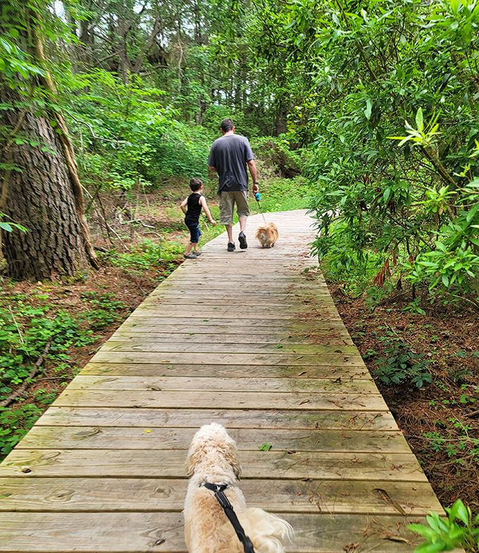 Woodland trails that welcome four-legged friends. Like a doggy amusement park where the admission price is just a few excited tail wags.