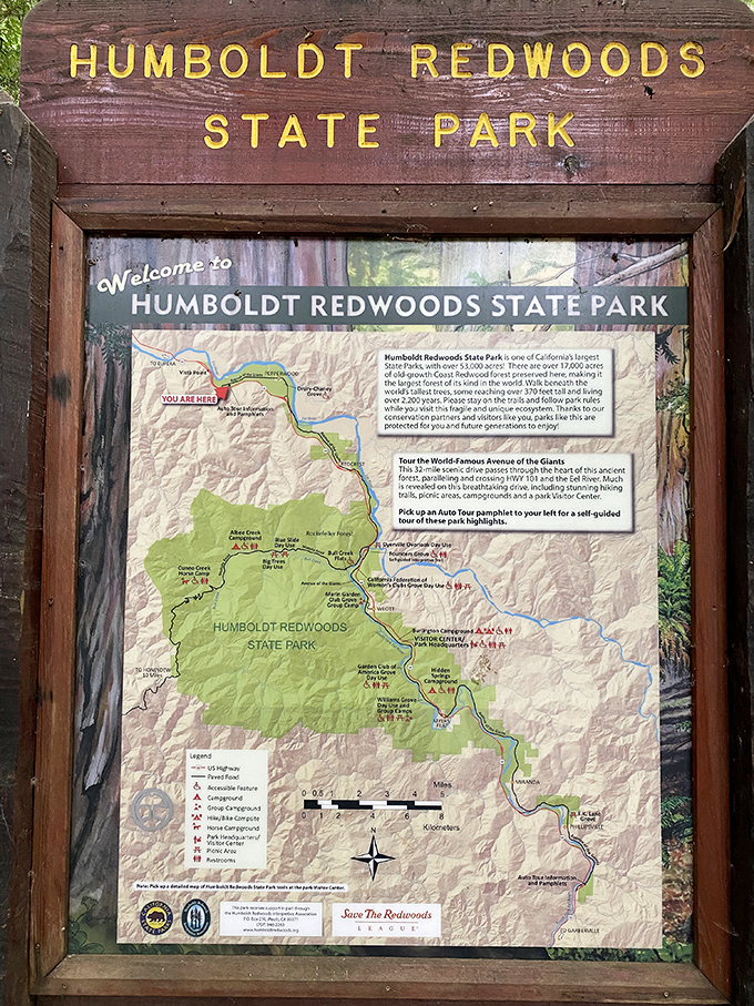 Your adventure begins here! This map doesn't just show trails&mdash;it charts your journey into a world where humans are delightfully insignificant. 