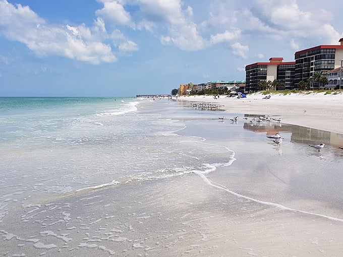 Where the Gulf of Mexico meets its match in pristine white sand. Seagulls patrol the shoreline like tiny beach inspectors checking for quality control.