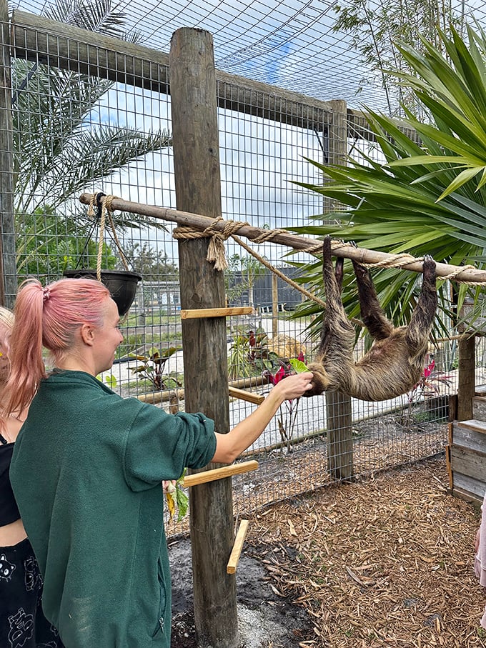 Between hunting for vintage treasures, Arcadia offers wildlife encounters where even sloths move faster than the relaxed pace of this charming Florida town.