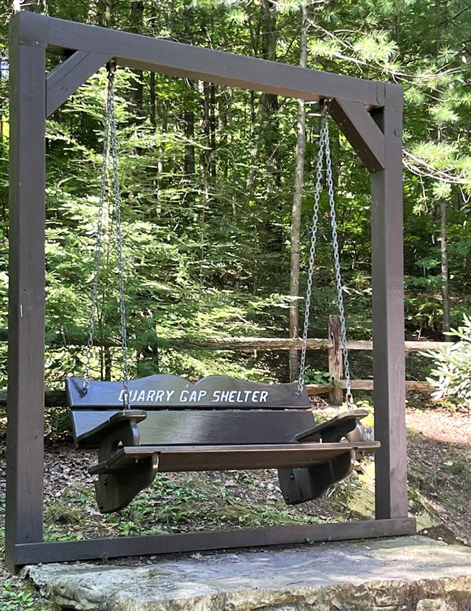 The perfect perch for pondering life's mysteries or just deciding what sandwich to eat first.