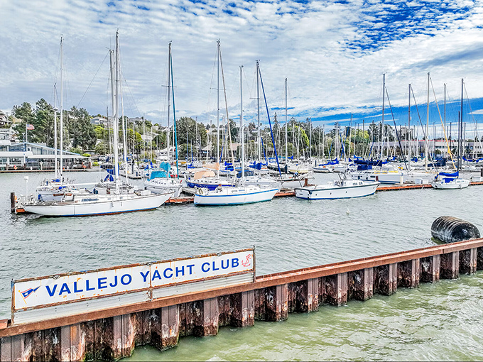 The Vallejo Yacht Club: where boats gently bob in agreement that life is simply better on the water, especially when San Francisco's fog stays on its side of the bay.