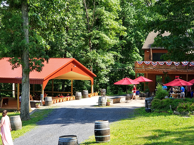 Cave Ridge's modern tasting room says "Yes, we're serious about wine" while the patio says "But we're fun about everything else!"