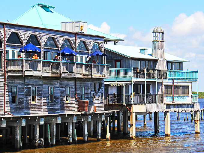 Cedar Key's waterfront dining: where pelicans judge your seafood choices from weathered pilings. 