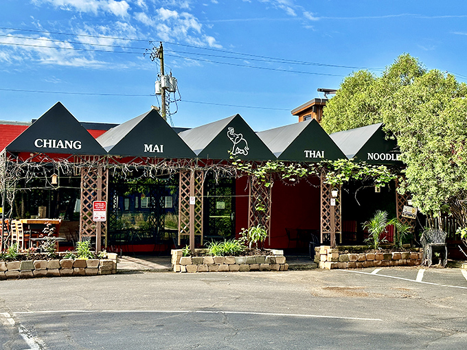 Those dramatic black peaks hint at the flavor adventure waiting inside - Thai comfort food that'll warm your soul differently.