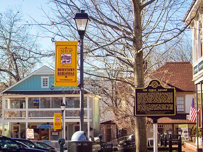Dahlonega's courthouse square buzzes with the kind of energy that built America one handshake at time.
