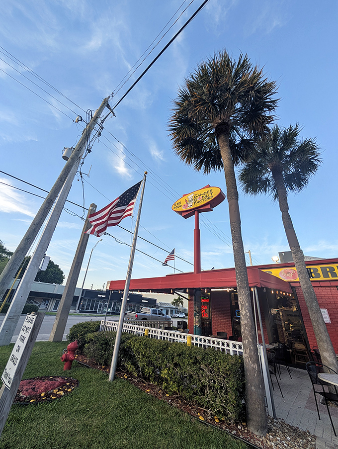 Red building, golden donuts. Dandee's eye-catching exterior is just a preview of the colorful treats inside.