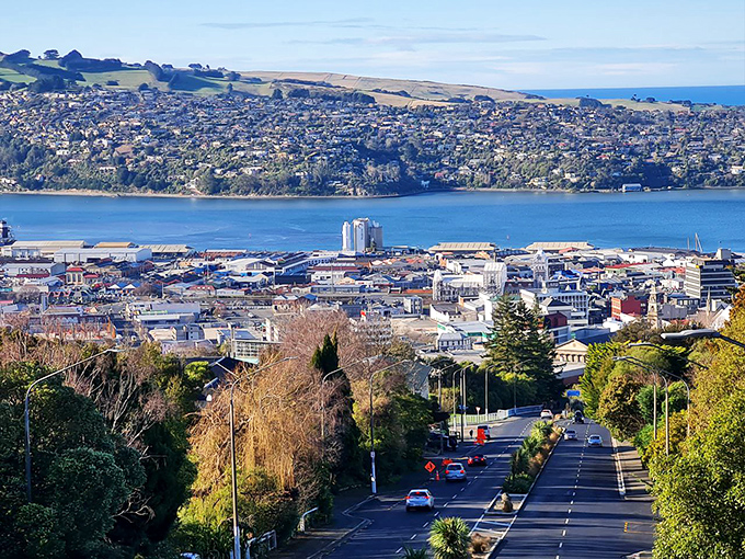 Dunedin's rolling hills meet sparkling waters, creating views that belong on everyone's retirement vision board.