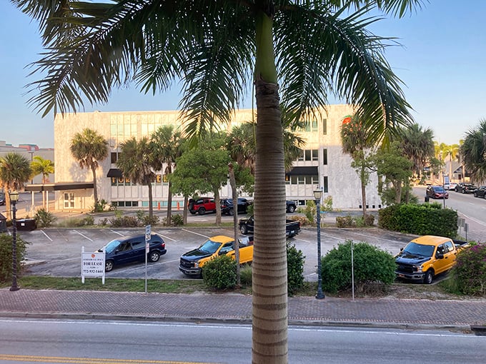 Palm trees stand tall like guardians of sunshine, framing a street scene that feels both everyday and cinematic.