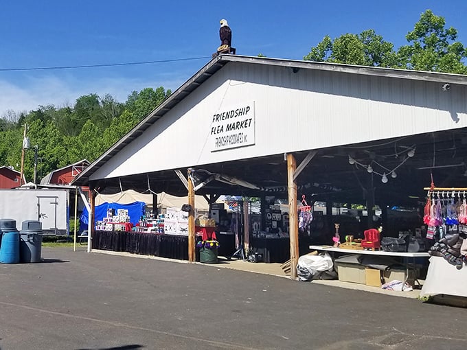 Friendship Flea Market lives up to its name &ndash; a covered haven where strangers become friends over shared discoveries.