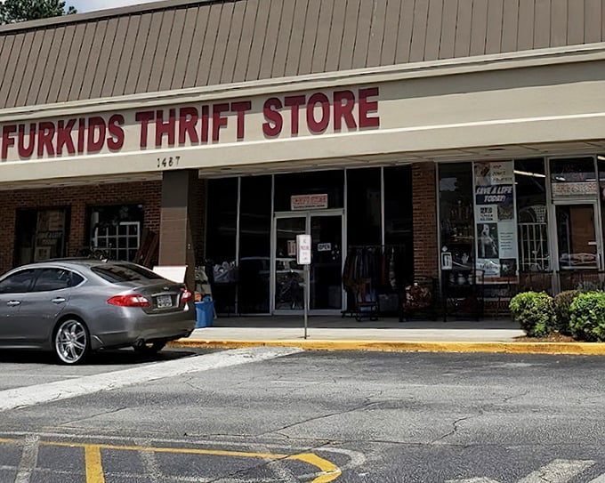 Furkids Thrift Store combines retail therapy with animal rescue - shopping that makes your heart happy.