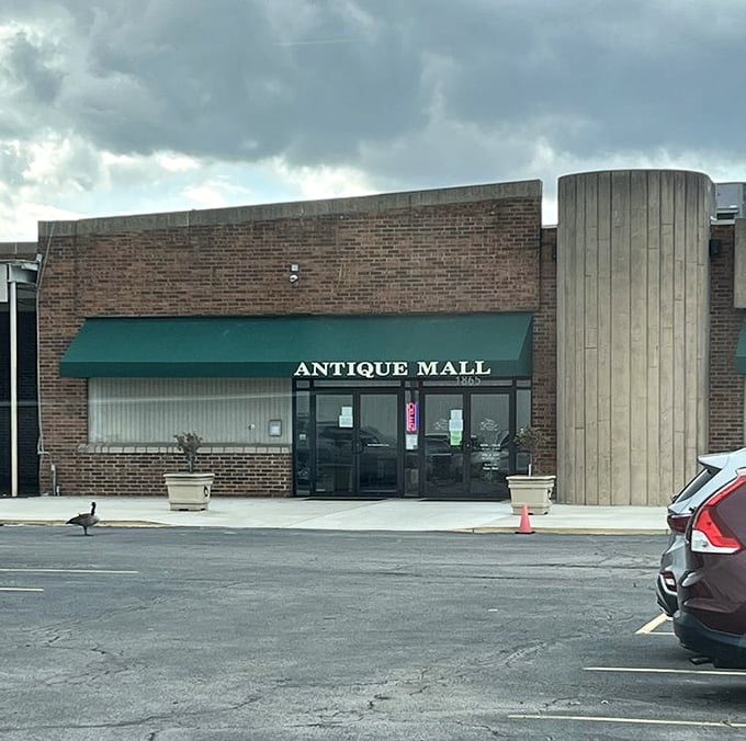 Modern brick meets vintage charm, creating the perfect gateway to Columbus's antique wonderland below.