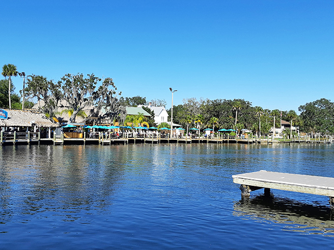 Waterfront dining with a view! Homosassa's colorful umbrella parade promises seafood so fresh it practically jumps onto your plate.
