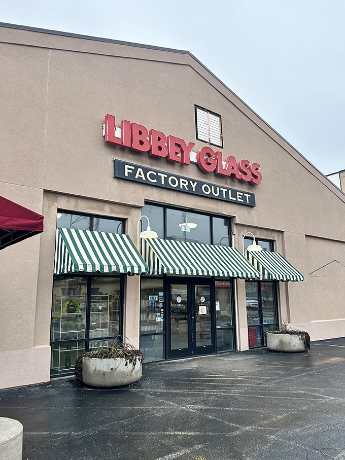 Glass artistry meets factory pricing where everyday elegance becomes surprisingly affordable for everyone.